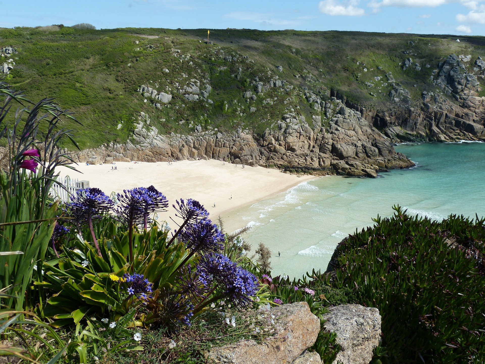 Cornwall 365's June Top Picks — Cornwall 365 What's On