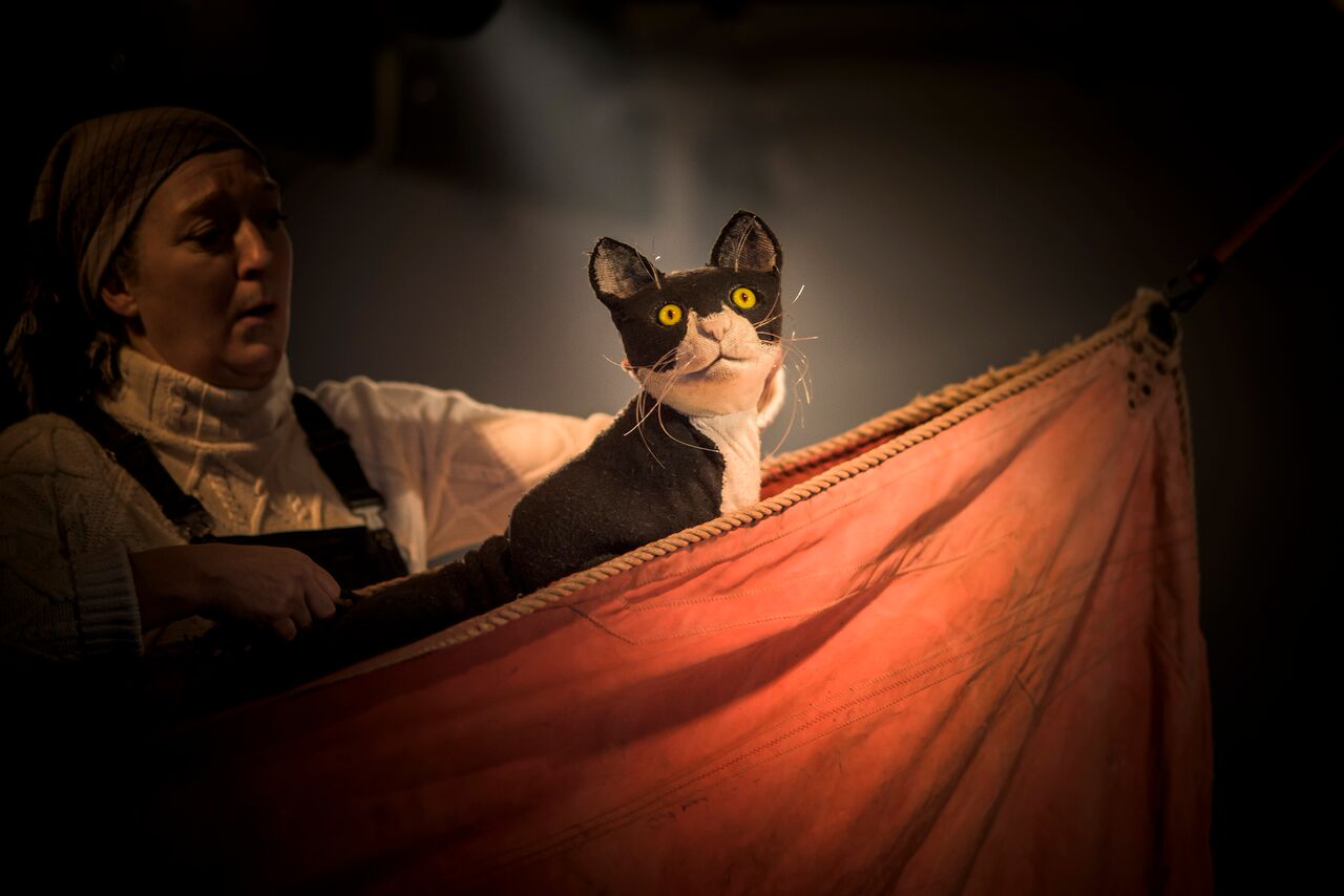 The Mousehole Cat — Cornwall 365 What's On
