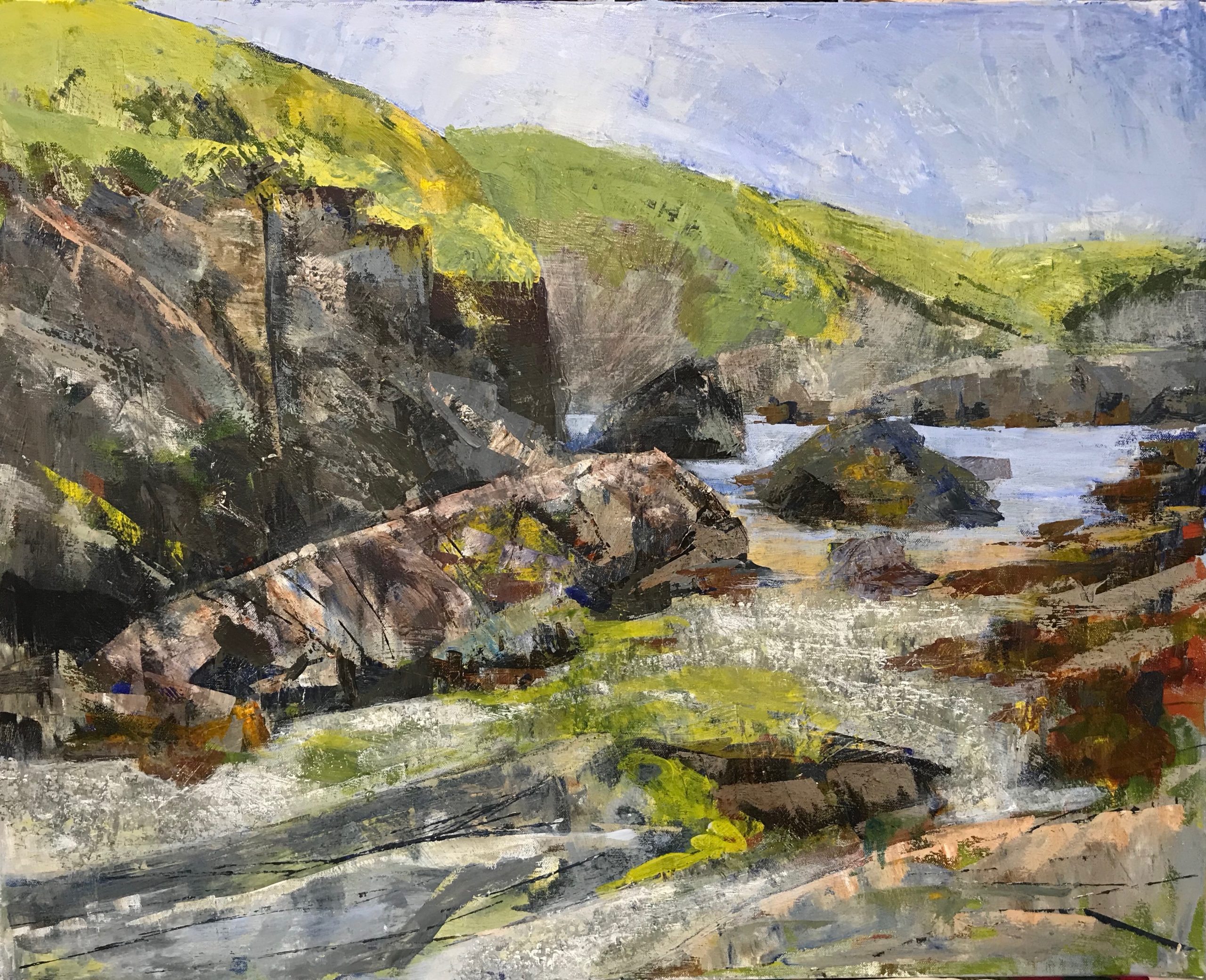Louise Kidd Artist — Cornwall 365 What's On