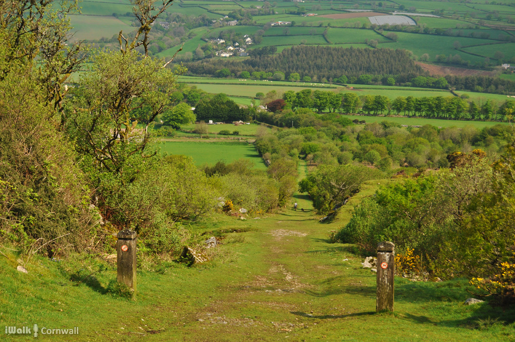 Walk of the Month: Kit Hill to Kelly Bray — Cornwall 365 What's On