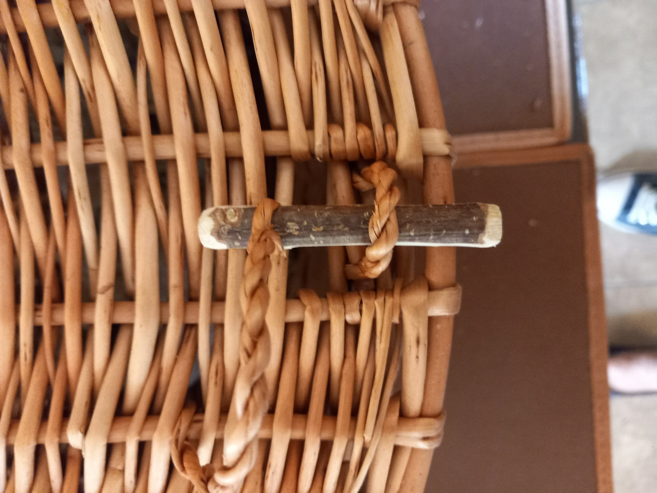 Vanessa Millar - Penacre Willow — Cornwall 365 What's On