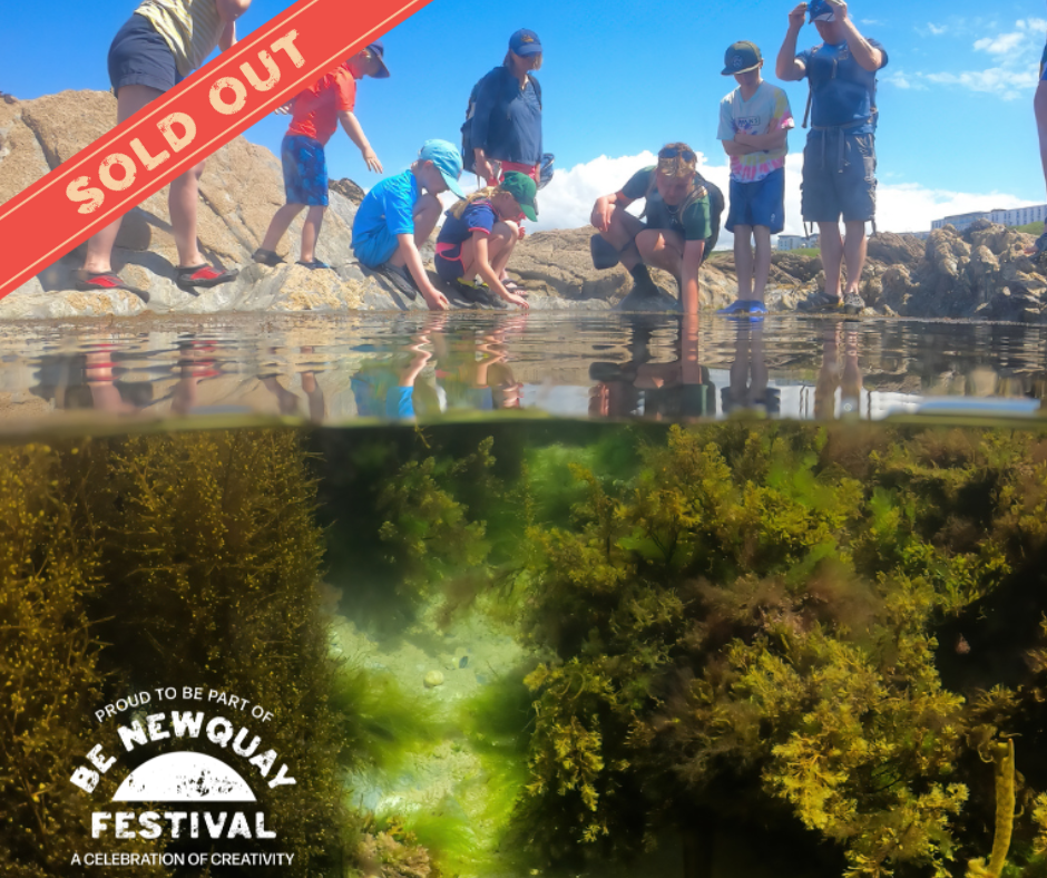 Rockpool Experience — Cornwall 365 What's On