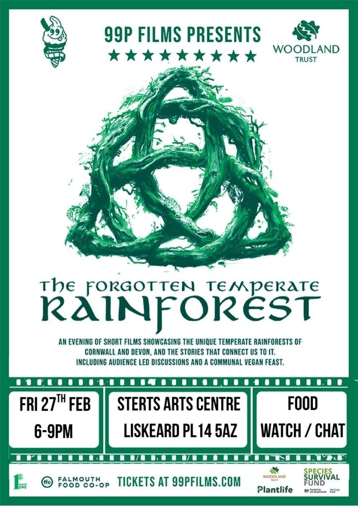 The Forgotten Temperate Rainforest — Cornwall 365 What's On