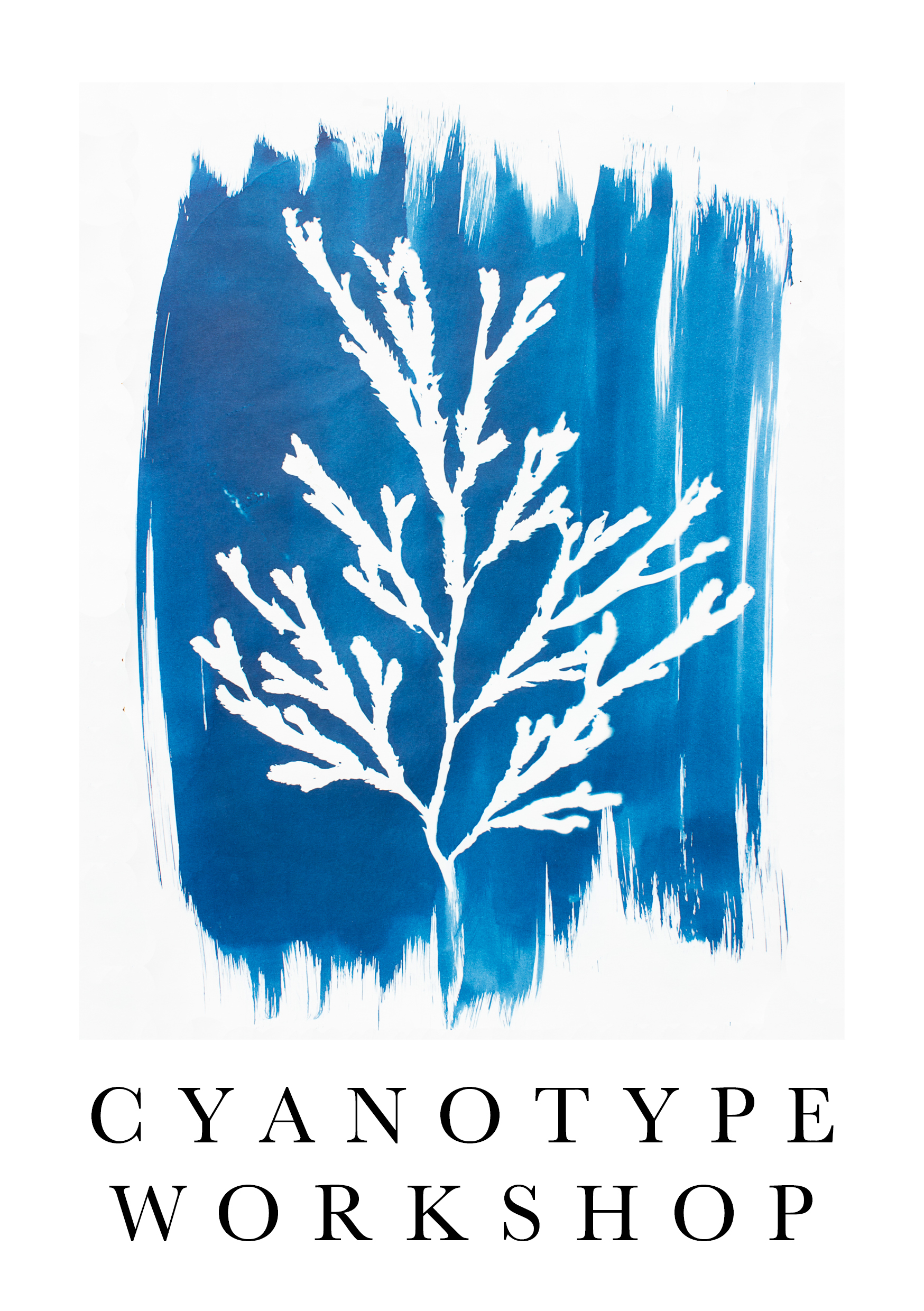 Cyanotype Workshop — Cornwall 365 What's On
