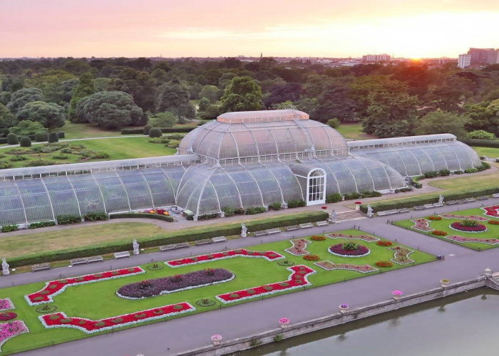 Kew: Plants in a Changing World — Cornwall 365 What's On