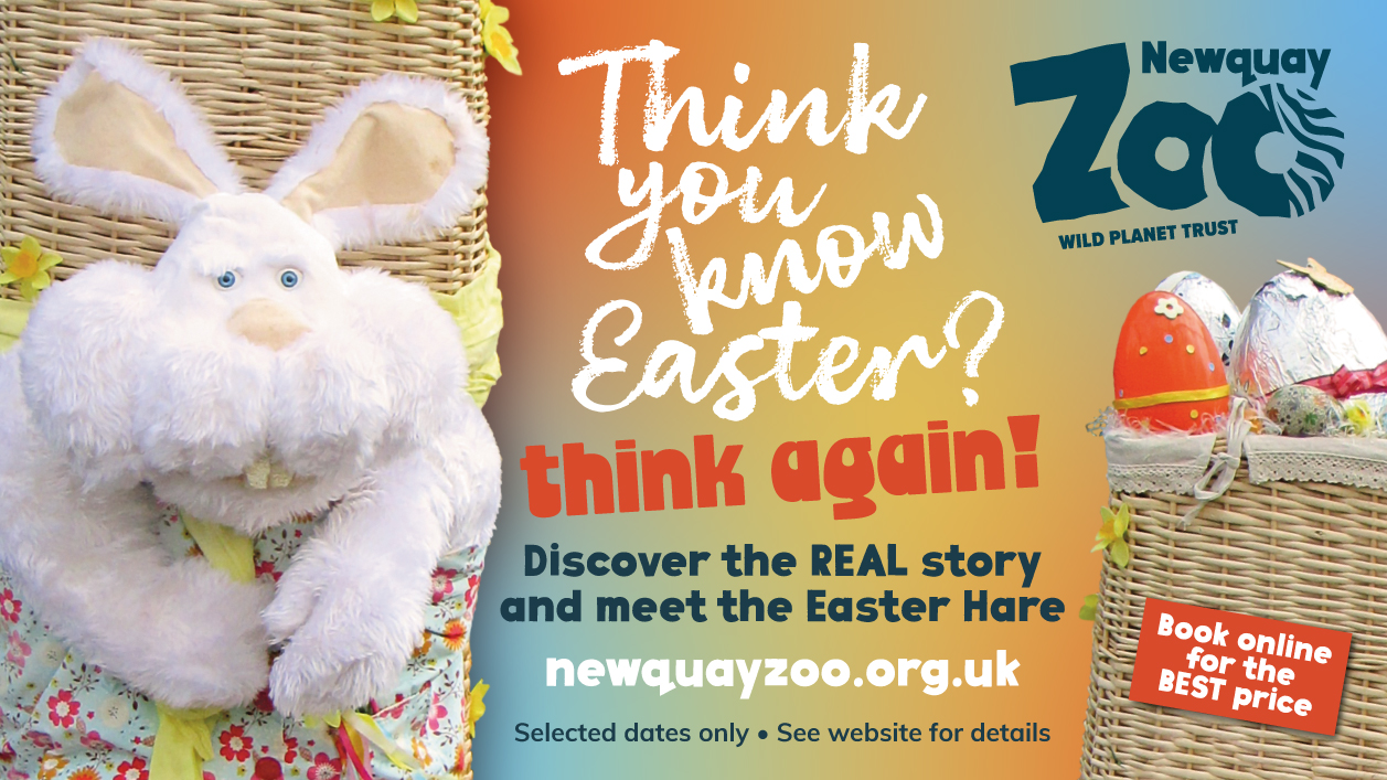 Meet The Easter Hare at Newquay Zoo — Cornwall 365 What's On