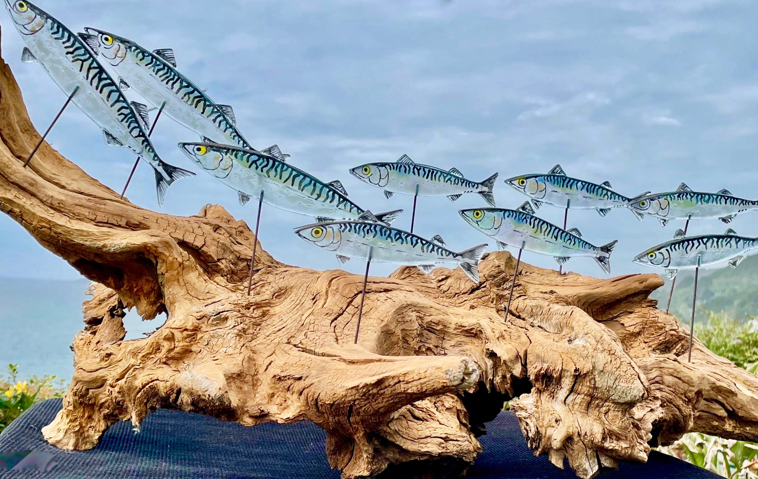 The Glass Shack — Cornwall 365 What's On