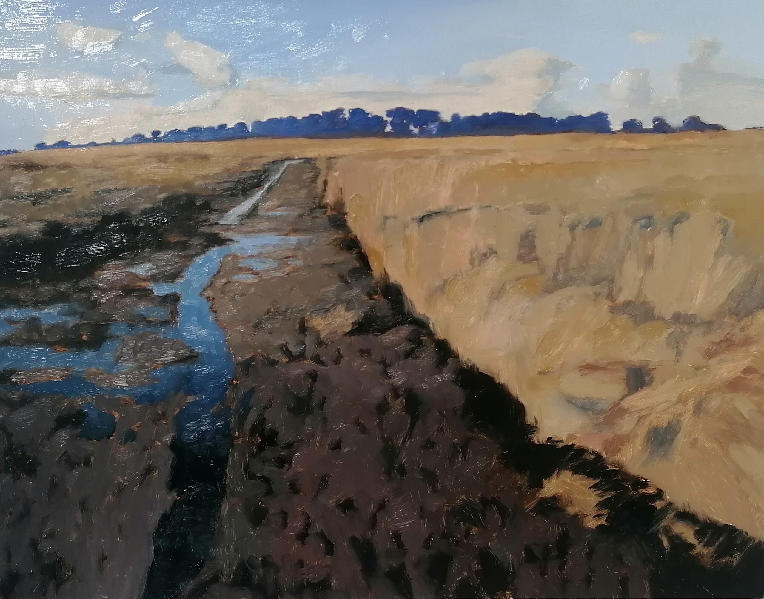 Hugo Jones — Cornwall 365 What's On